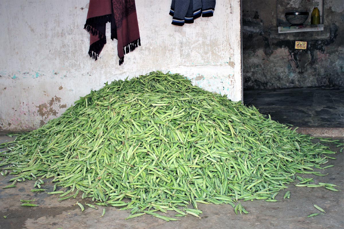 Livelihood security – CECOEDECON: Community Based Organization, Best ...